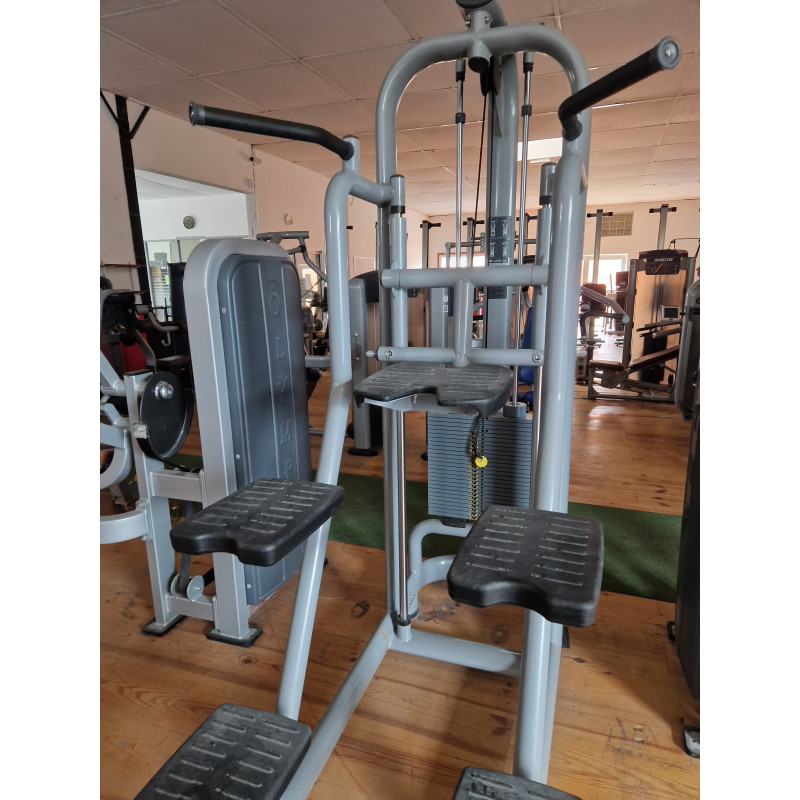 Acheter easy chin dips Technogym d’occasion