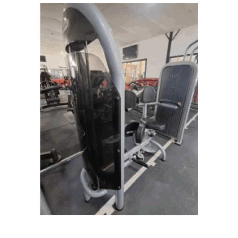 Acheter appareil Rotary torso Matrix d’occasion à -78%