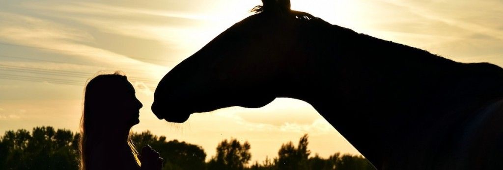 Horse coaching et les bienfaits du sport à cheval - linkNsport